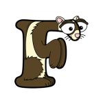 Animals that start with F - Lists & Examples | Animal Dictionary