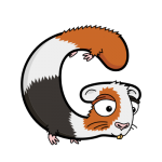 Animals that start with G - Alphabetimals Animal Dictionary