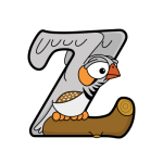 Animals that start with Z - Lists & Examples | Animal Dictionary