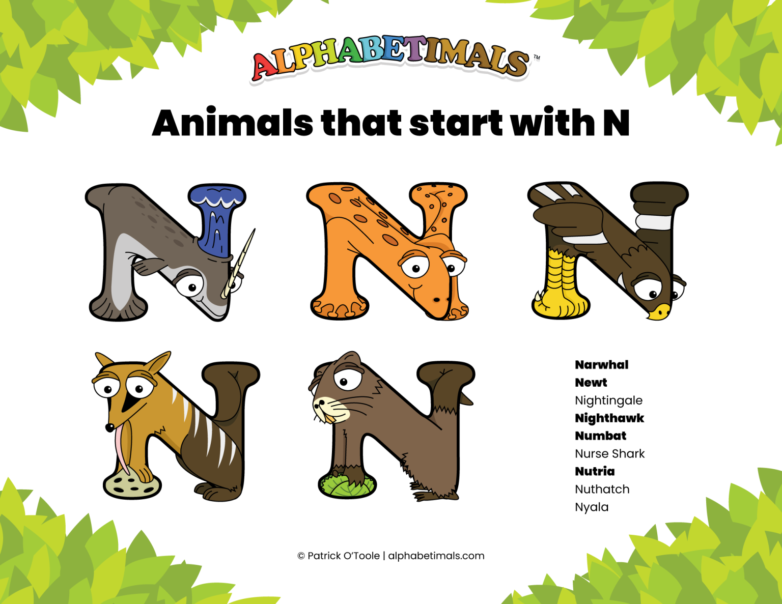Animals that start with N - Lists & Examples | Animal Dictionary
