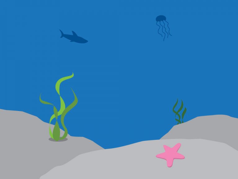 Octo-mazing! Awesome Octopus Facts for Kids to Explore