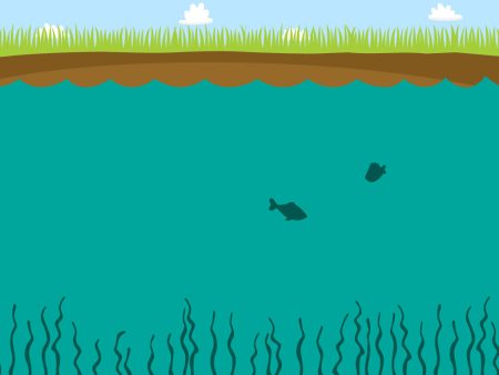 X-ray fish | Animals that start with X