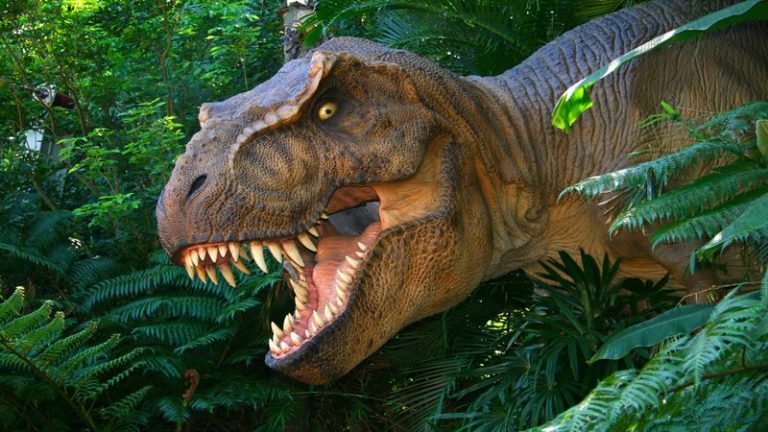 T-rex Fun for Kids: Facts & Coloring Page Activities